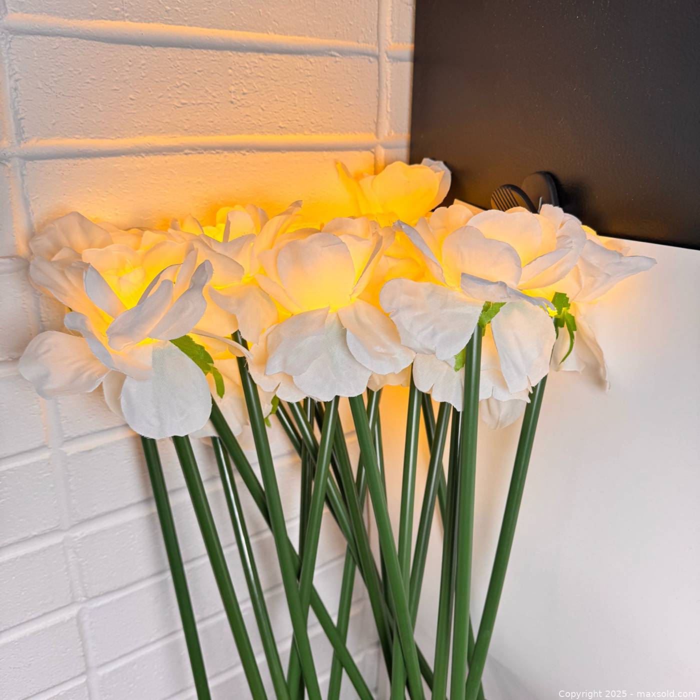 Long Stem LED Light-Up White Roses | Maxsold