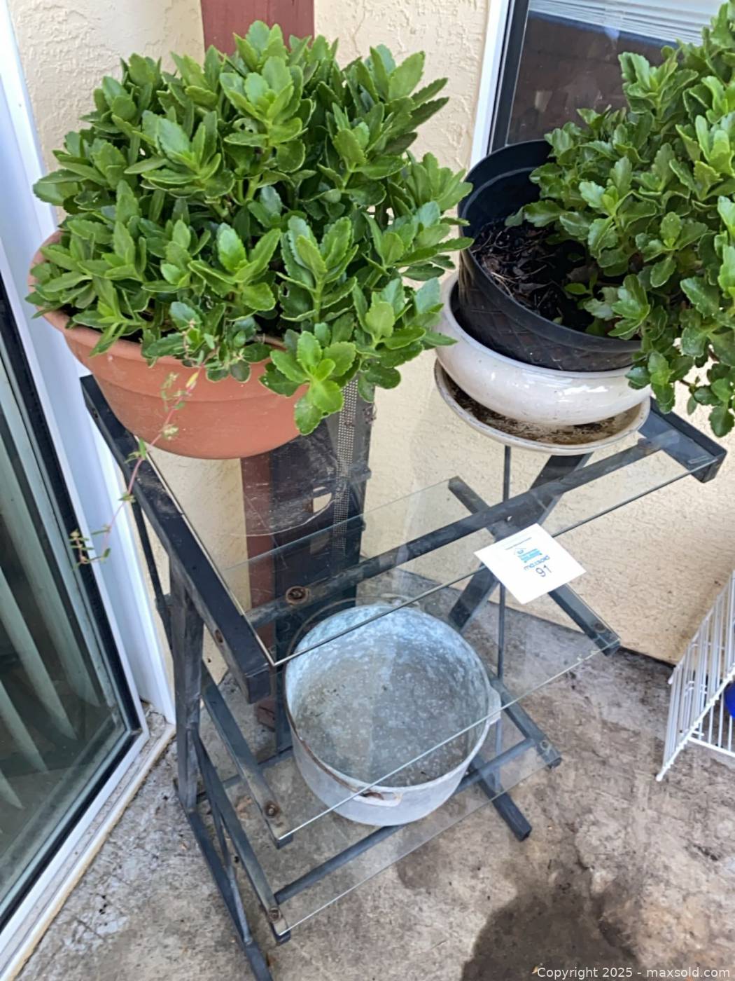 Metal and glass plant stand with two potted succulents and galvanized ...