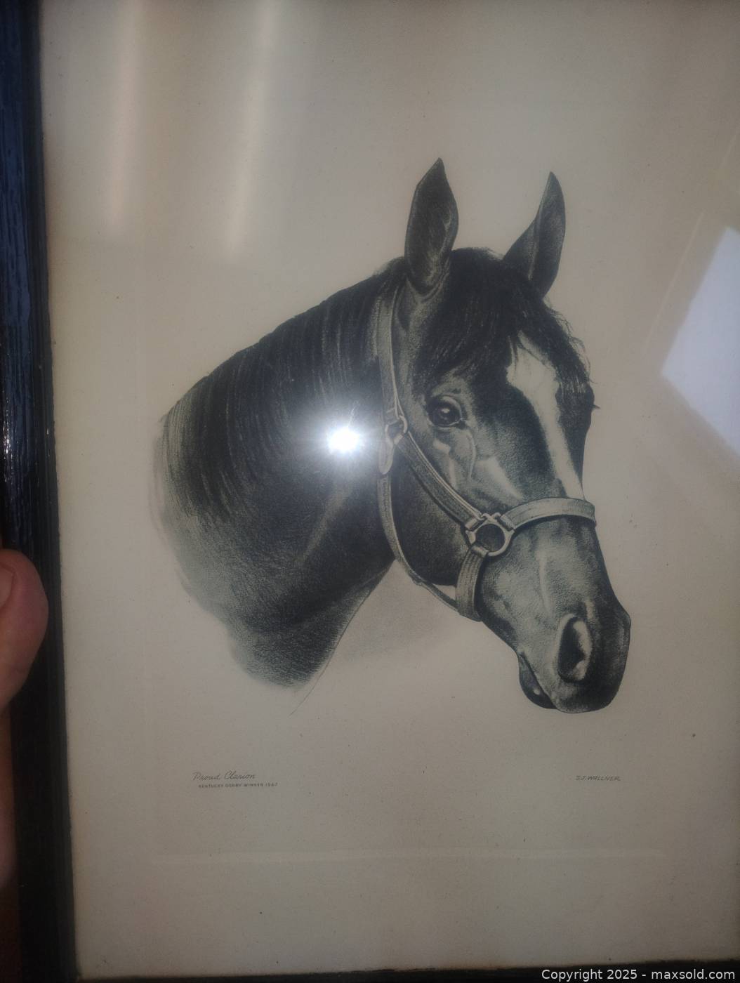 Proud Clarion framed horse drawing print | Maxsold