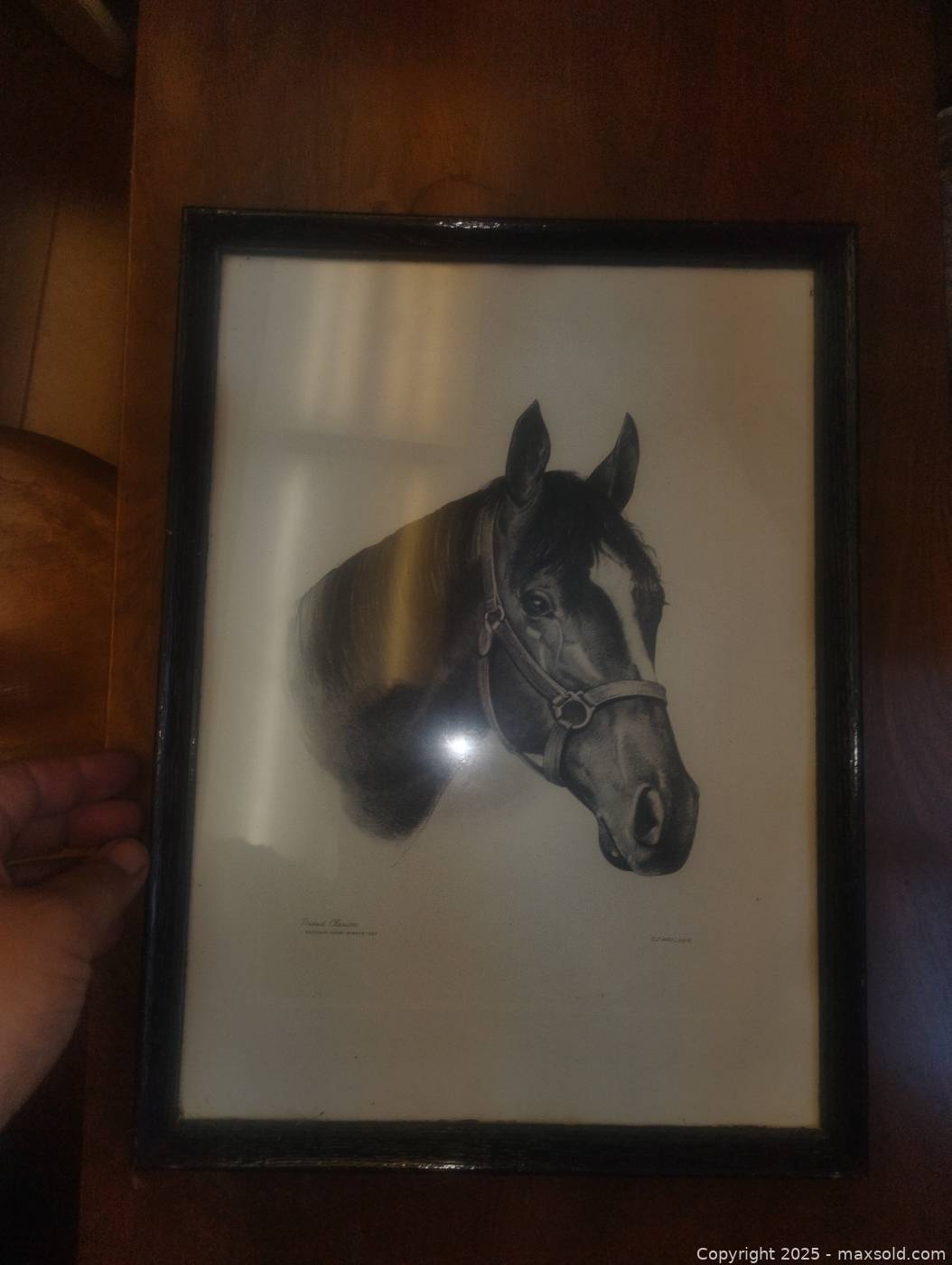 Proud Clarion framed horse drawing print | Maxsold