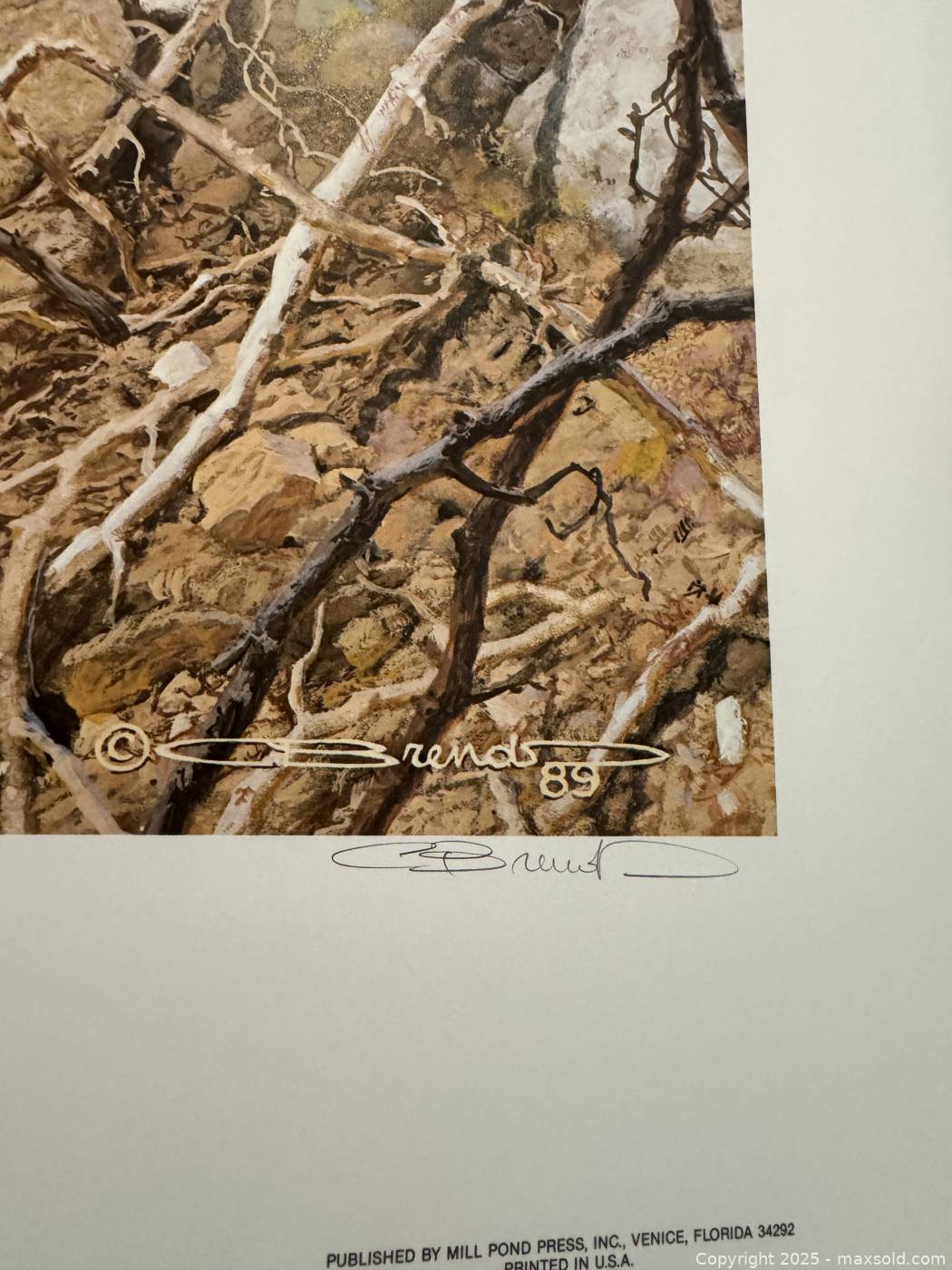 Carl Brenders signed numbered wildlife print | Maxsold
