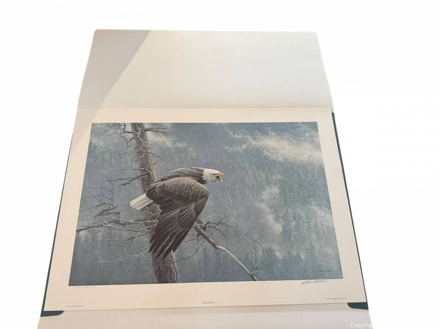 Robert Bateman hand-signed numbered print | Maxsold