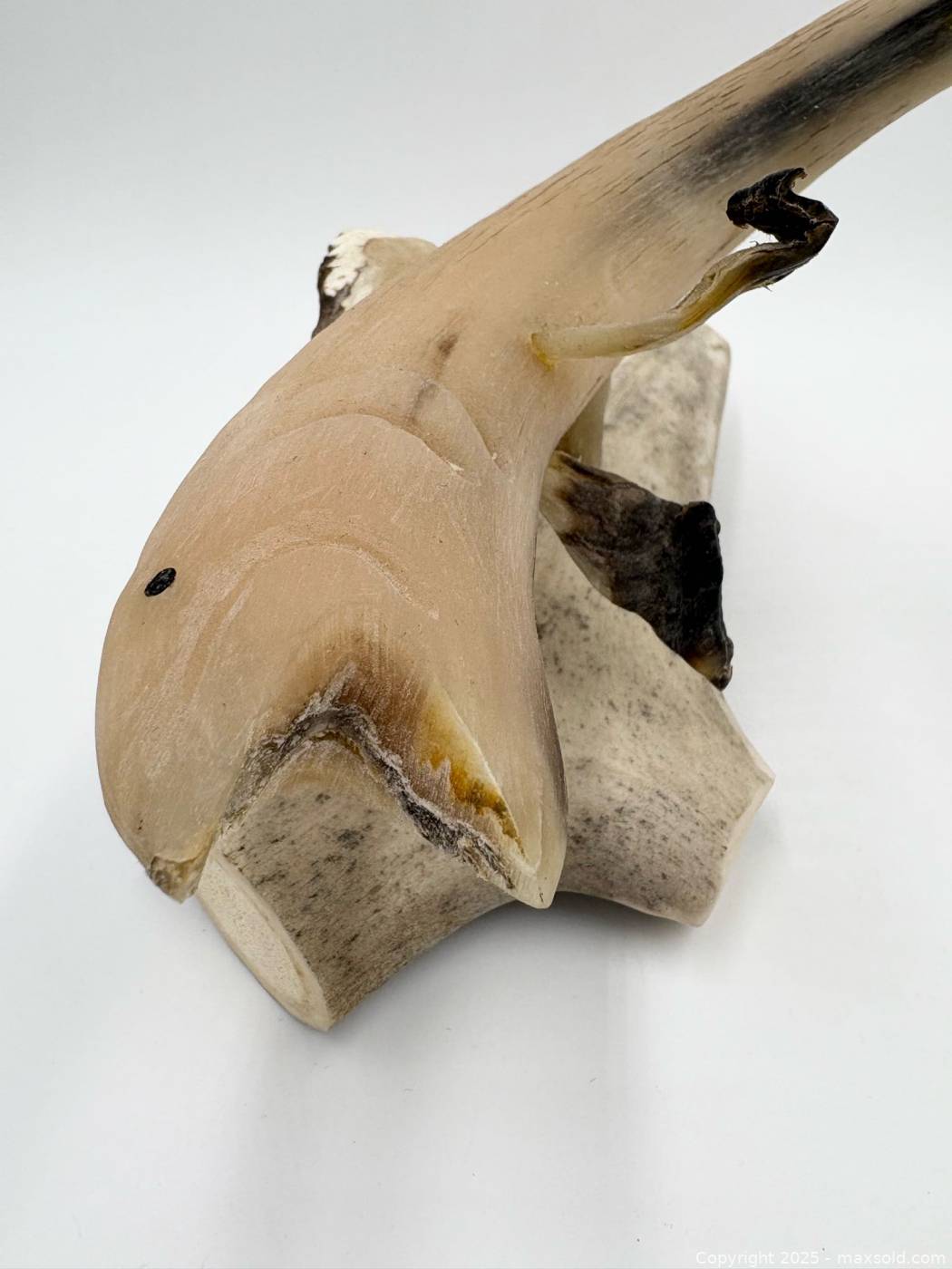 Nunavut carved horn fish sculpture | Maxsold