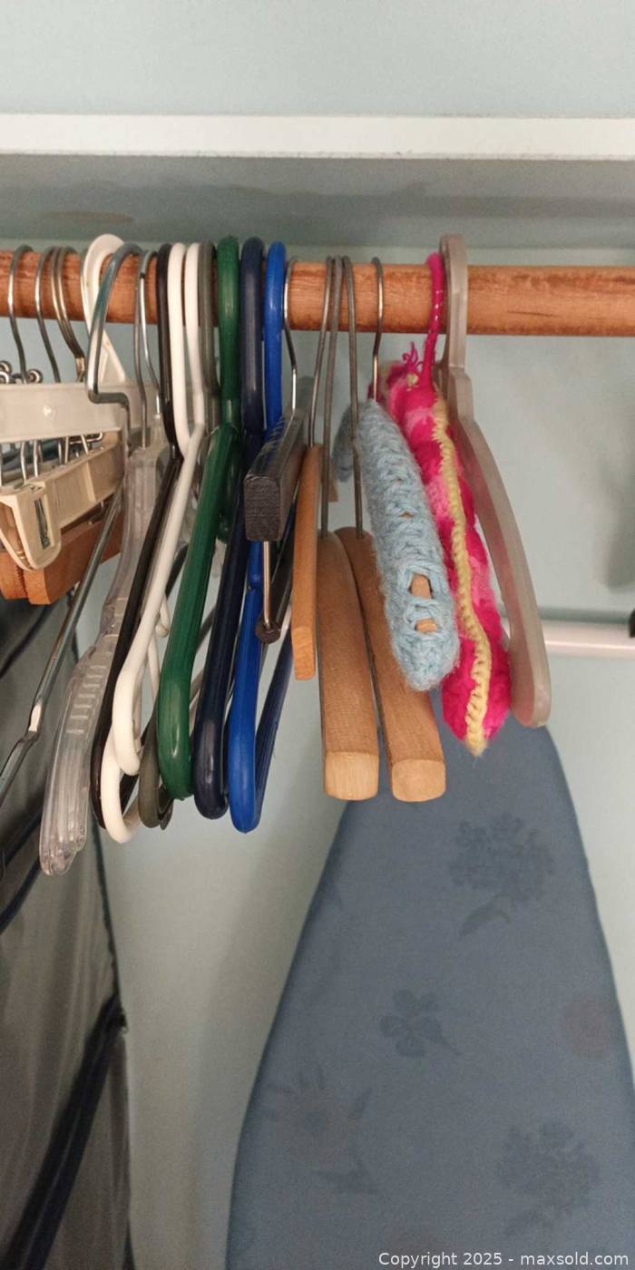 Rowenta steam iron, ironing board, garment bags, hangers | Maxsold