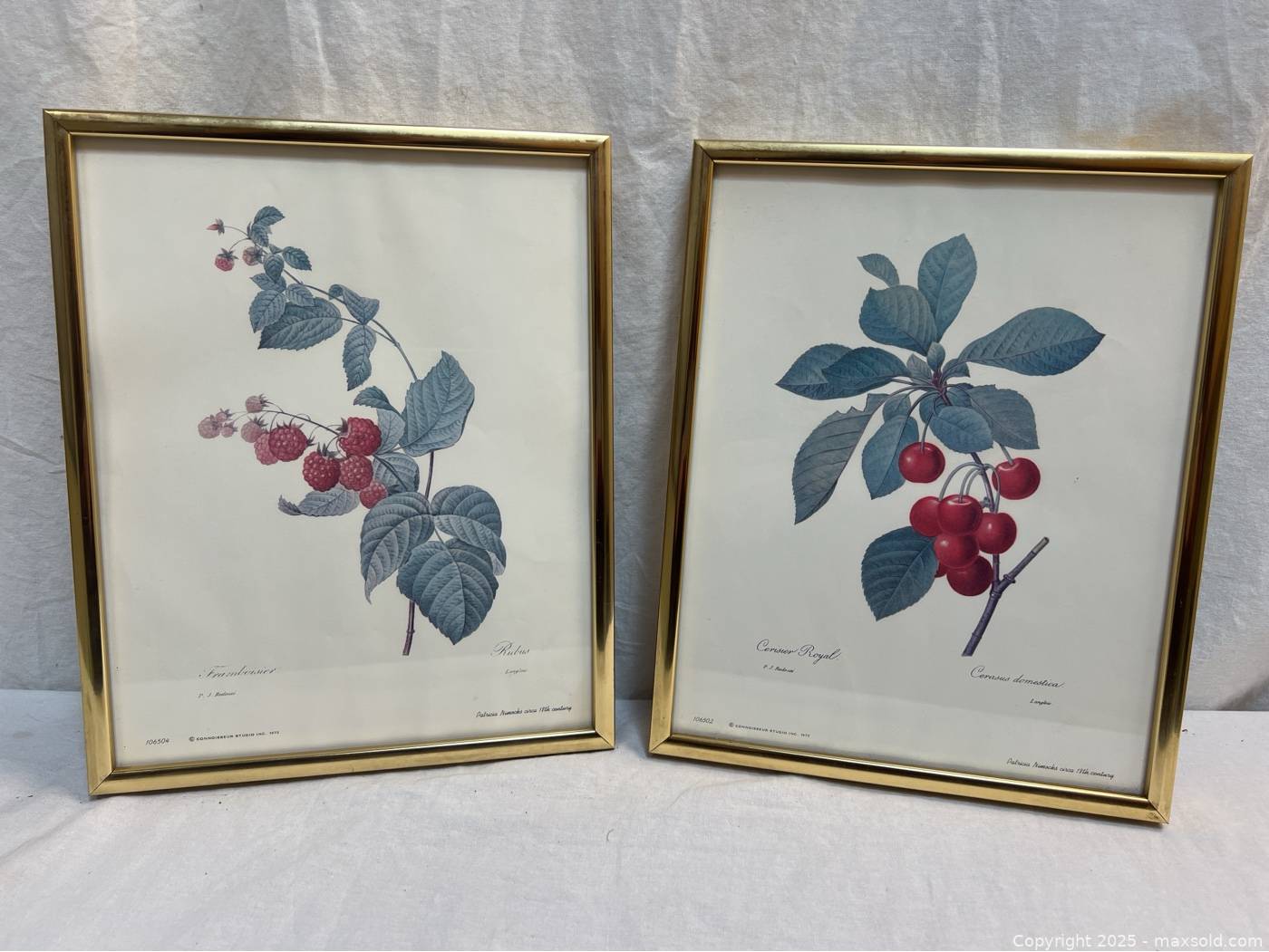 Pair 1970s framed botanical berry prints | Maxsold