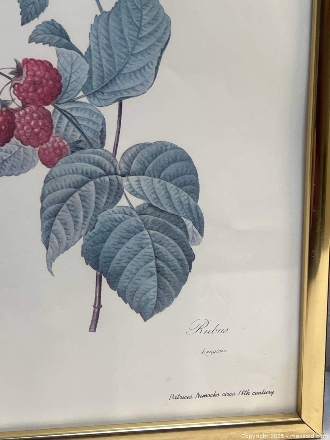 Pair 1970s framed botanical berry prints | Maxsold