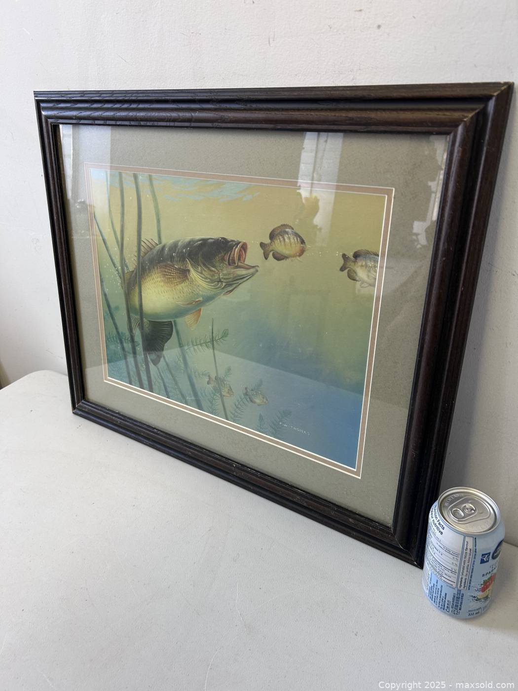 Framed Pike-Muskie Fishing Print by F. W. Thomas | Maxsold