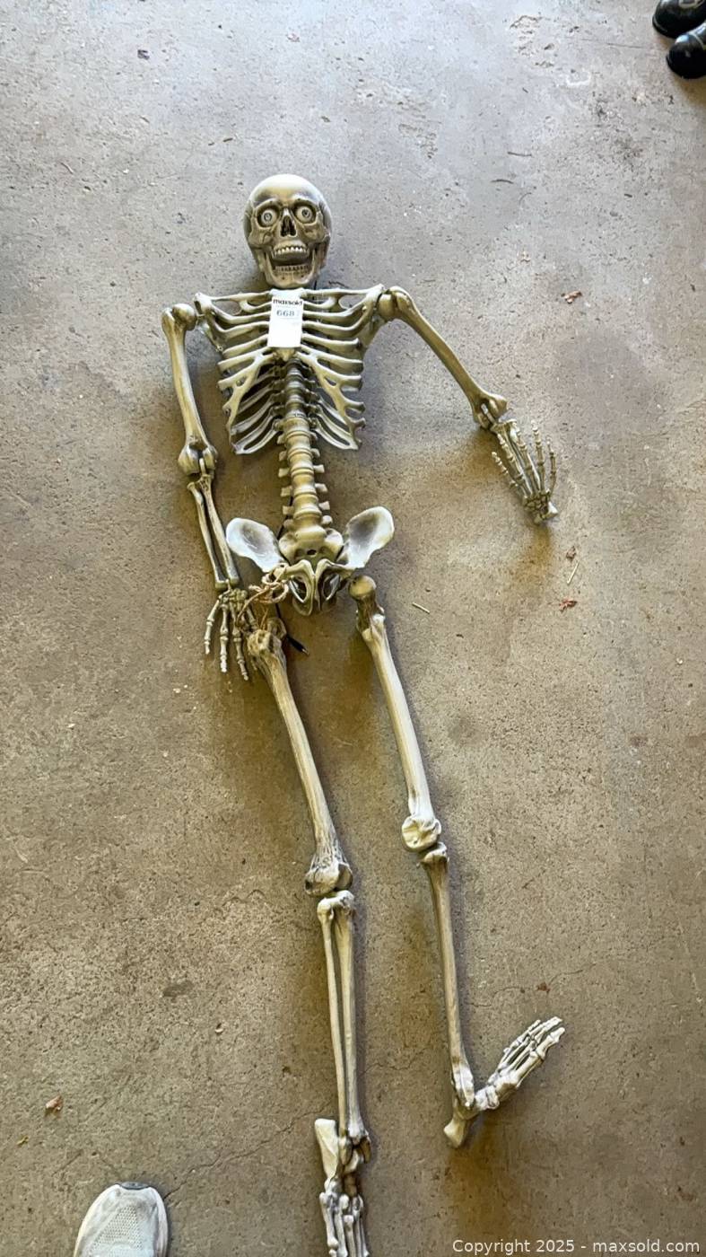 Plastic poseable 5-ft skeleton | Maxsold