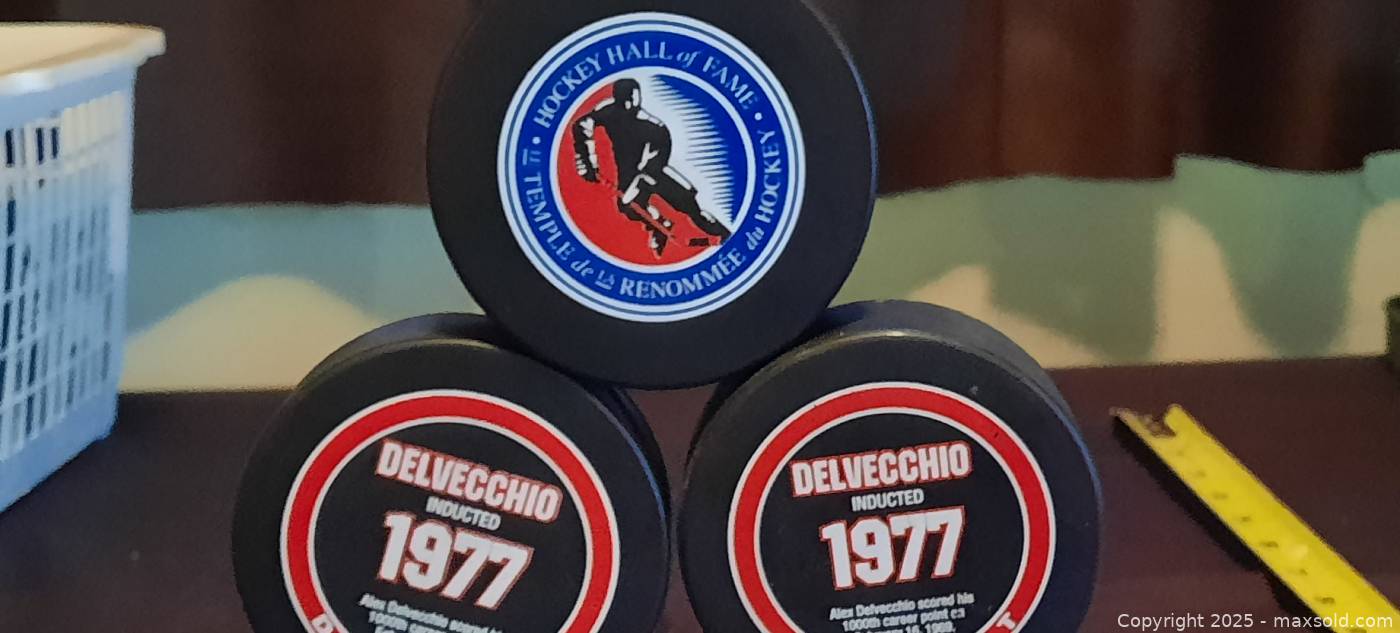 6 Hockey Hall of Fame inductee pucks | Maxsold