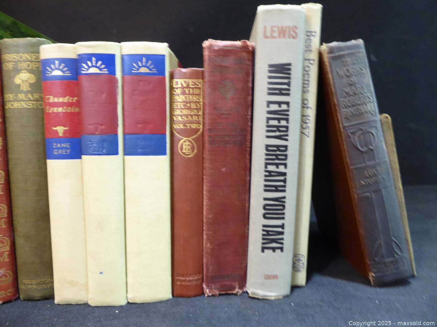 Vintage hardcover book collection | Maxsold