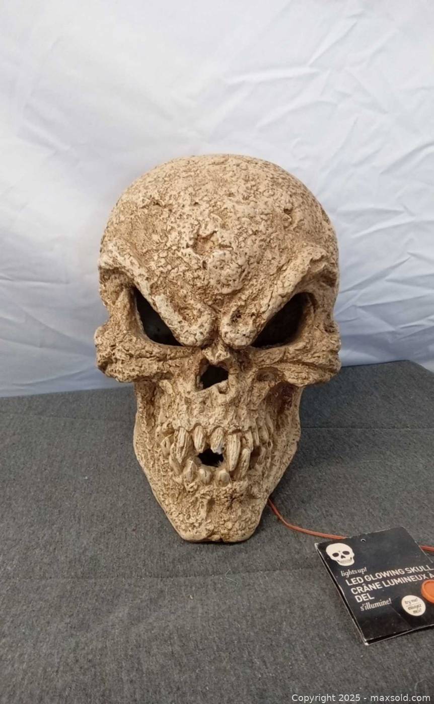 Battery-Powered LED Skull Halloween Decoration | Maxsold