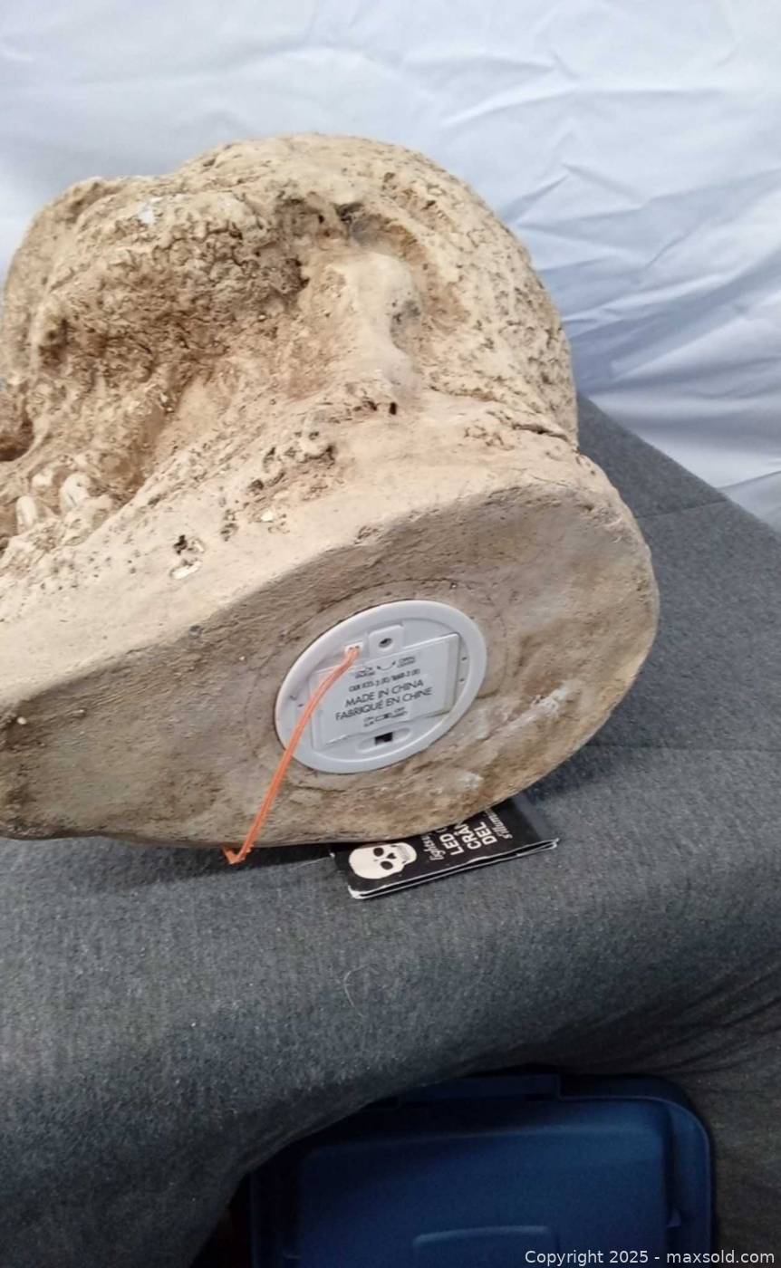 Battery-Powered LED Skull Halloween Decoration | Maxsold