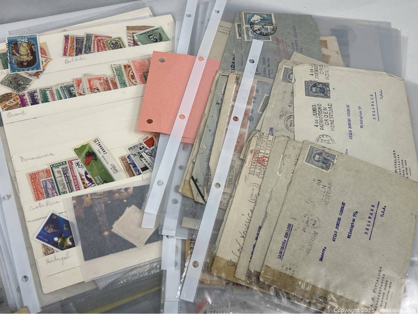 Sleeved U.S. & foreign stamp collection | Maxsold