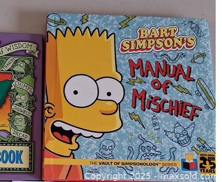 The Simpsons hardcover character books | Maxsold