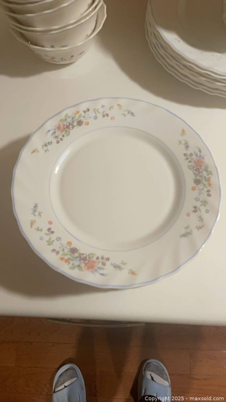 Arcopal Romantique blue floral bread plates, 15 | Maxsold