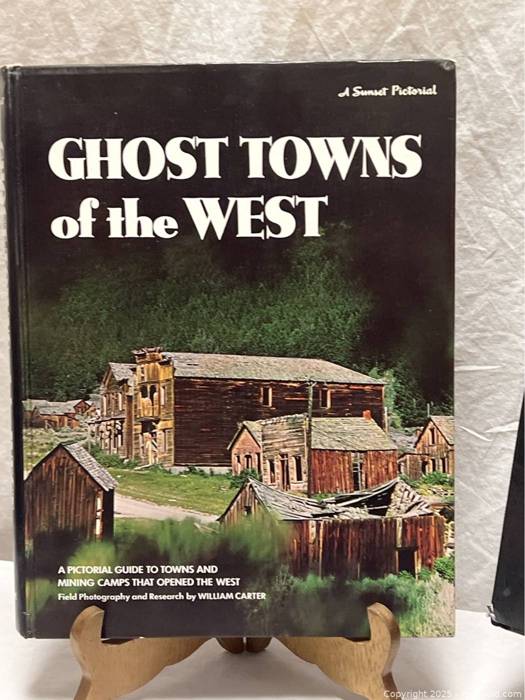Ghost Towns, Gothic Gargoyles, Magickal Protection books | Maxsold