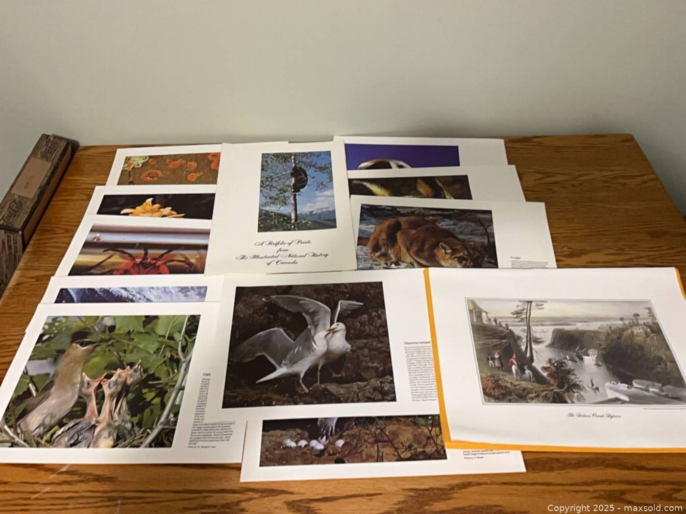 Illustrated Natural History of Canada Prints | Maxsold