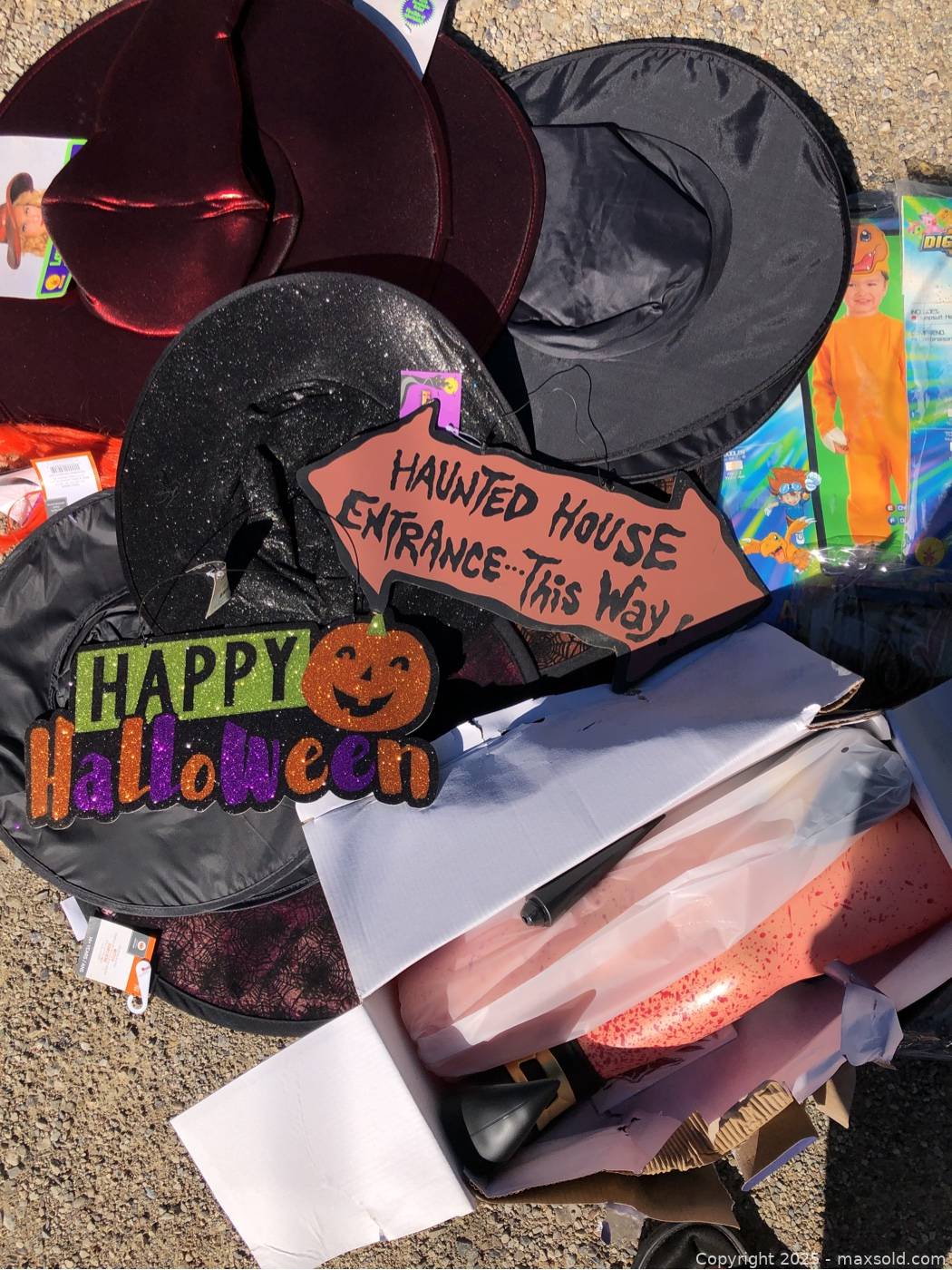 Halloween costumes and decor assortment | Maxsold
