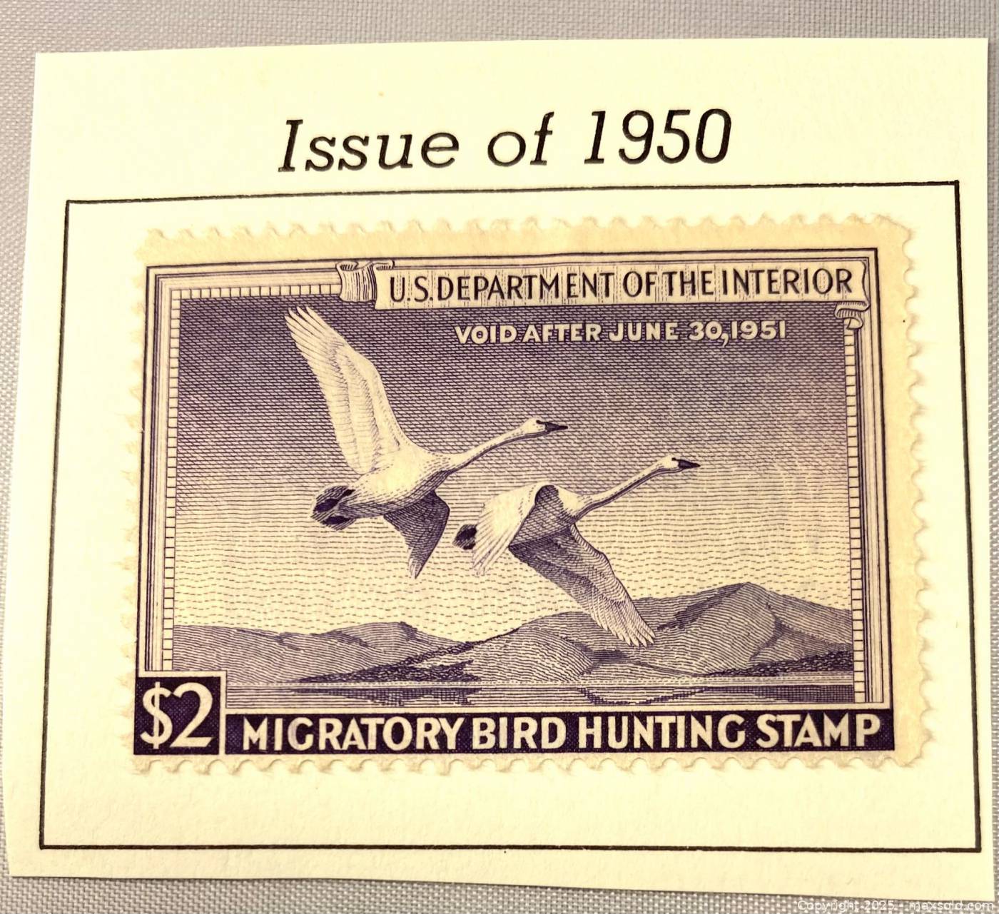 1950 $2 Migratory Bird Hunting Stamp | Maxsold