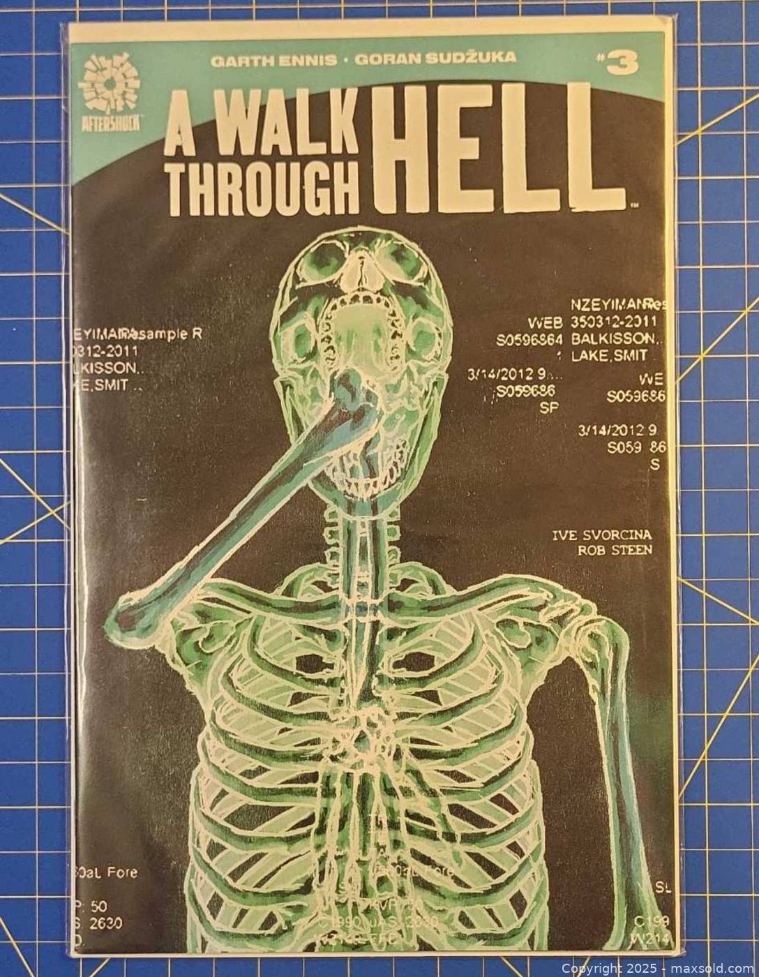 A Walk Through Hell Issue #3 comic | Maxsold