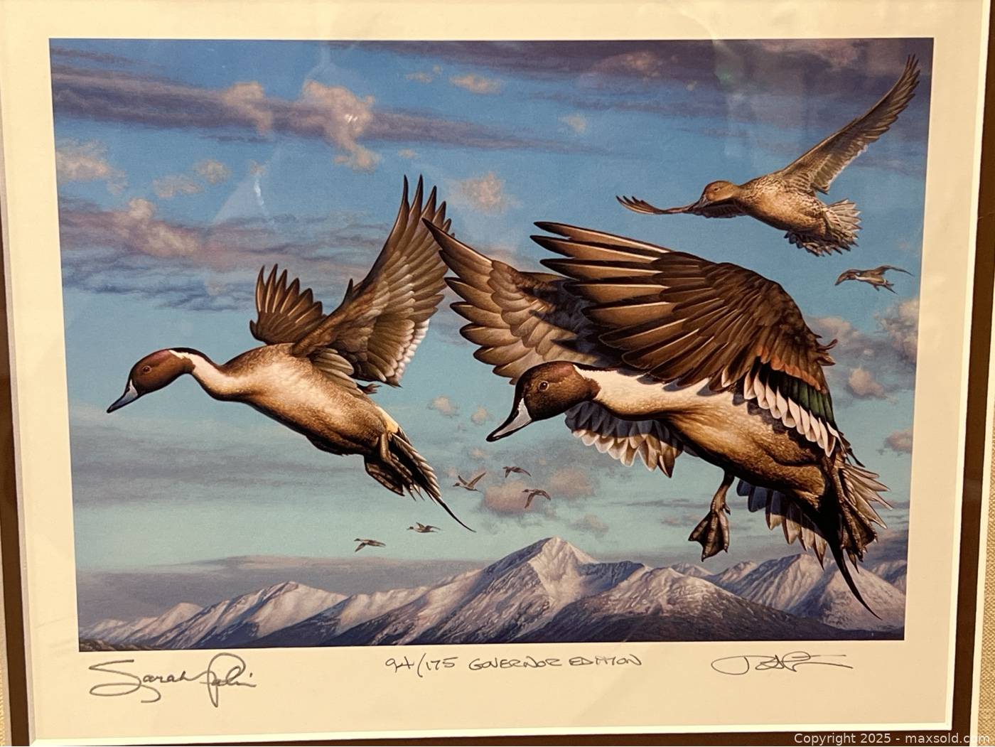 Robert Steiner 2008 Alaska Duck Stamp Governor’s Edition 94/175 framed ...