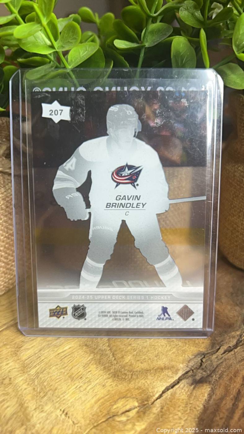 Upper Deck Gavin Brindley Young Guns Clear Cut hockey card | Maxsold