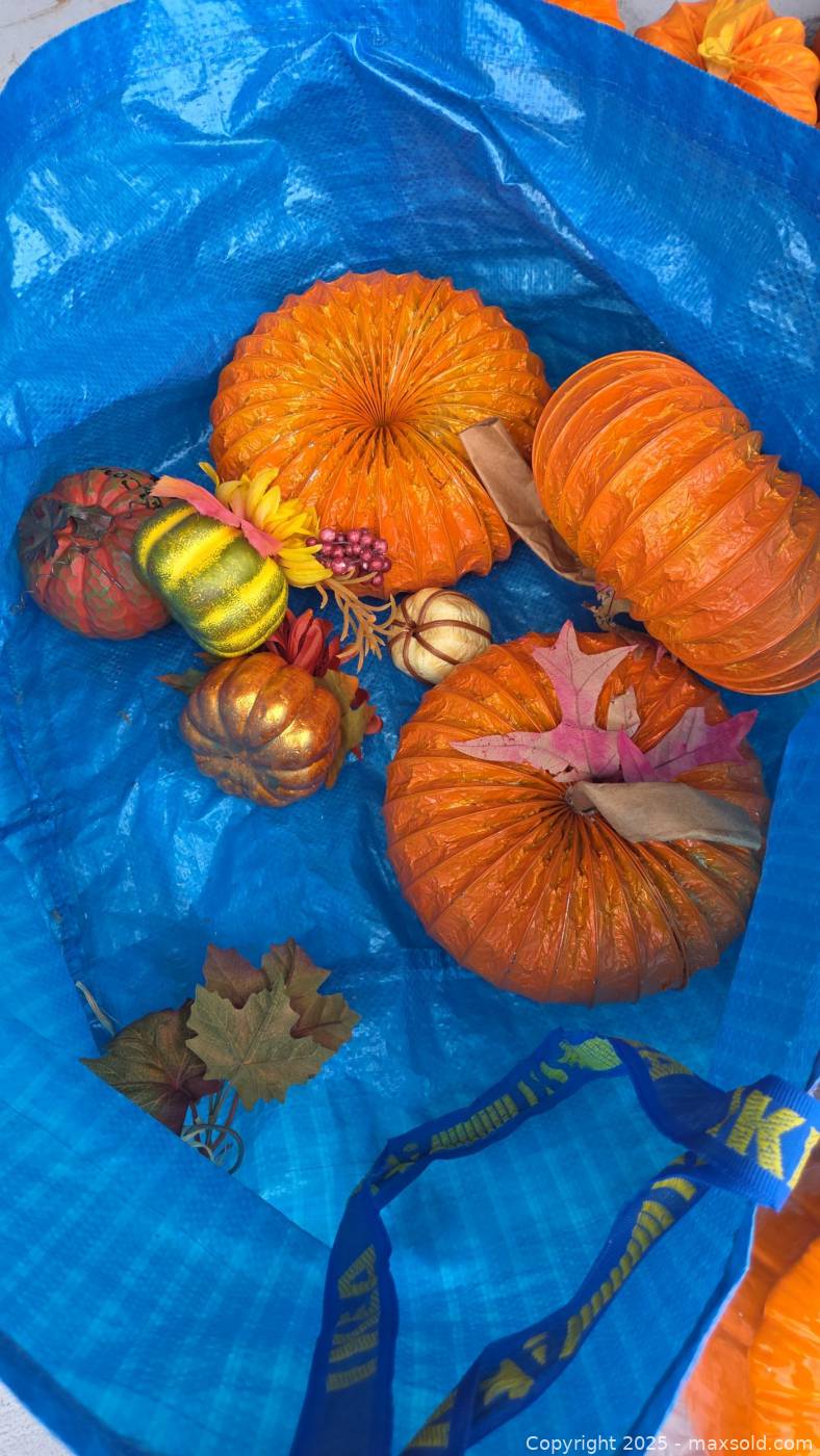 Mixed Fall, Halloween and Thanksgiving decor lot | Maxsold