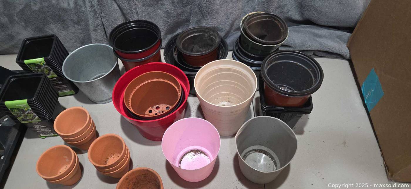 Assorted Plant Pots | Maxsold