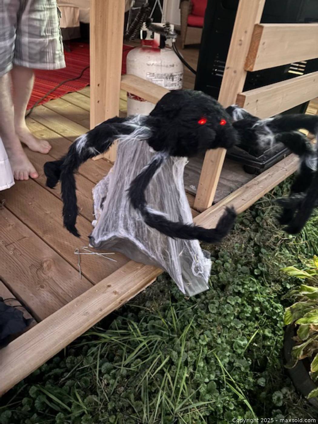 Motion-activated jumping spider decoration | Maxsold