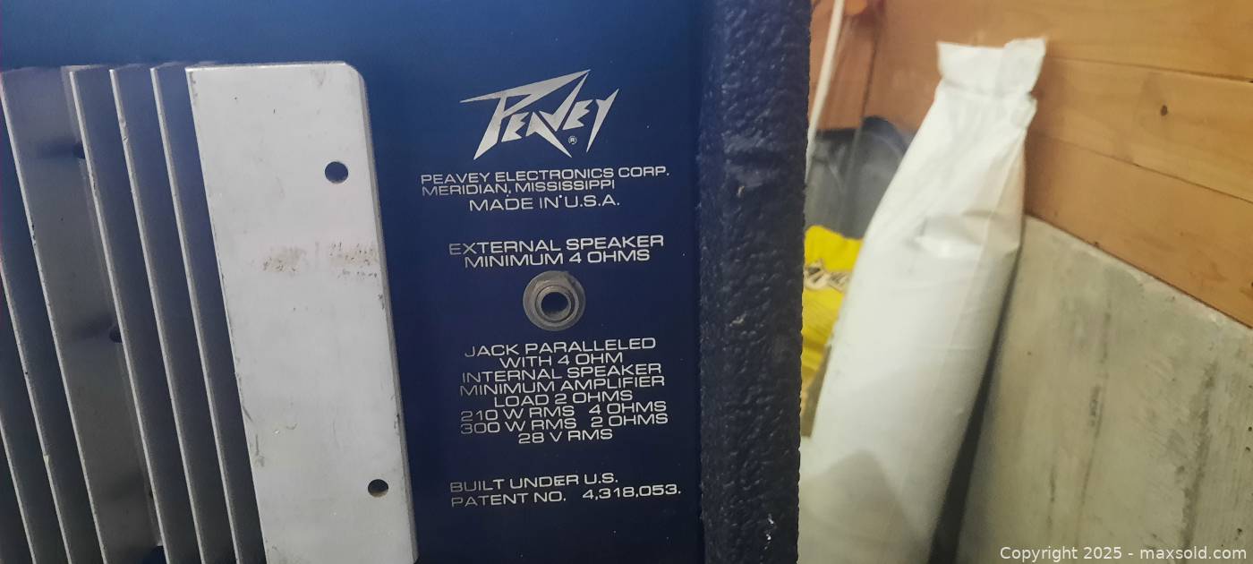 Peavey Combo 300 Guitar Amplifier | Maxsold