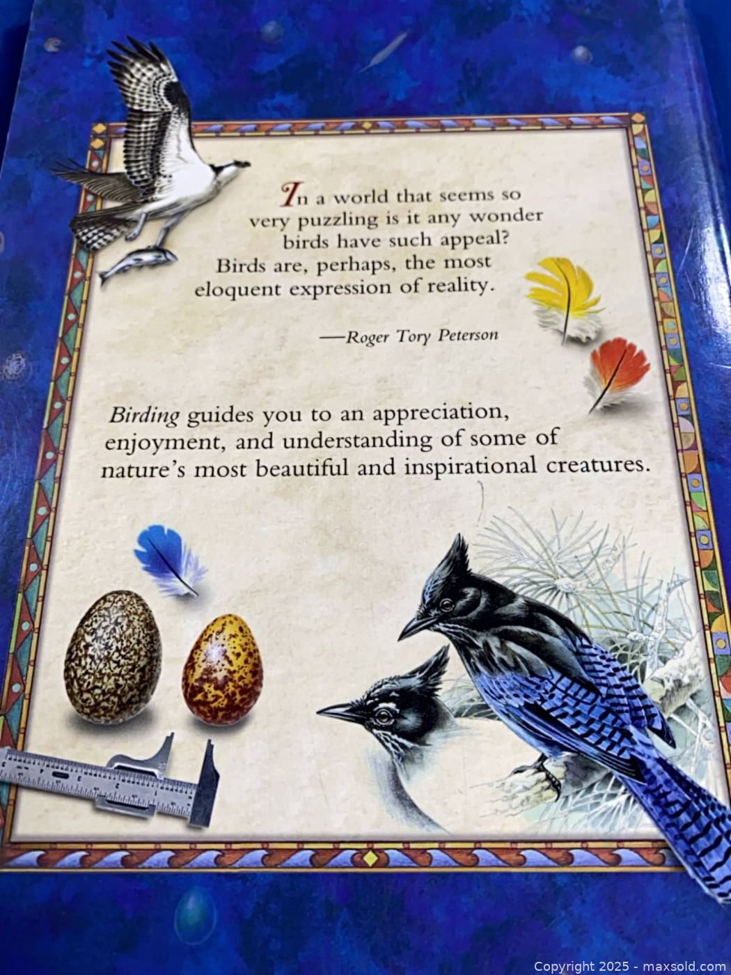 A Guide to Birding book | Maxsold