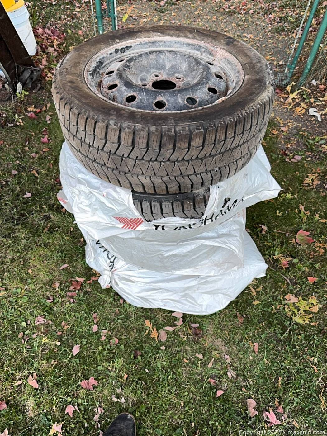 205/55R16 Bridgestone Blizzak WS90 winter tires on 16" 5x100 steel rims ...