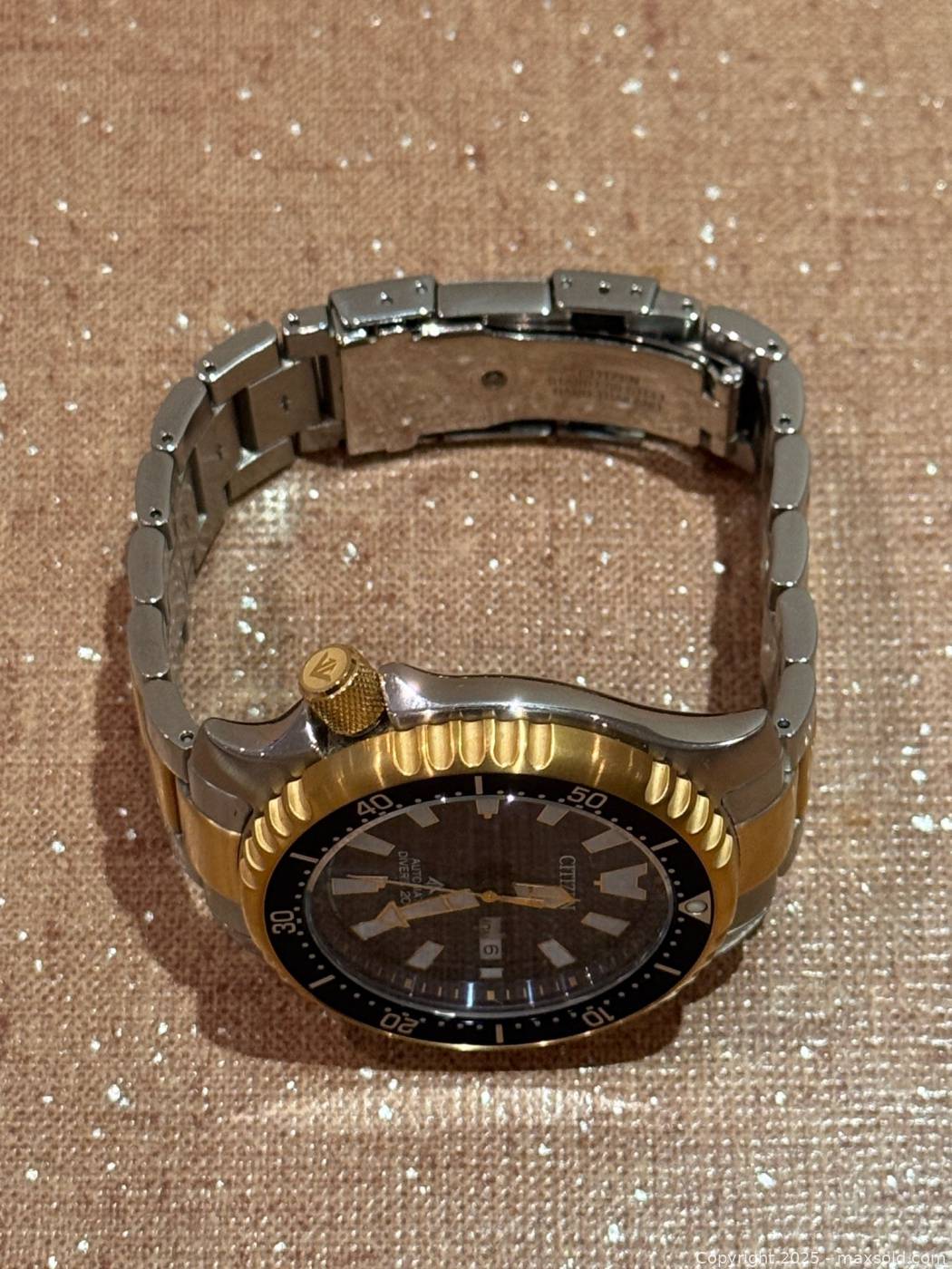 Citizen Promaster Automatic Diver Day Date Watch | Maxsold