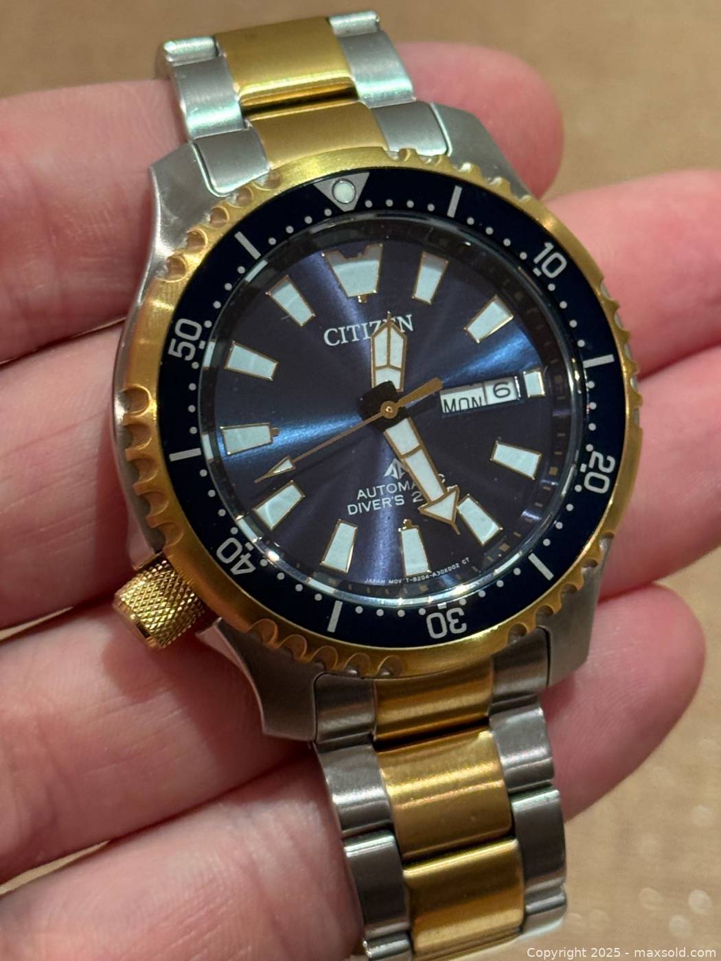 Citizen Promaster Automatic Diver Day Date Watch | Maxsold