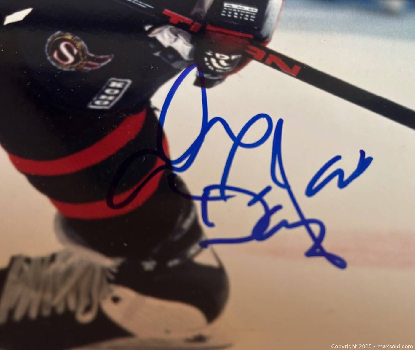 Signed Alexandre Daigle 8" x 10" Color Photo | Maxsold