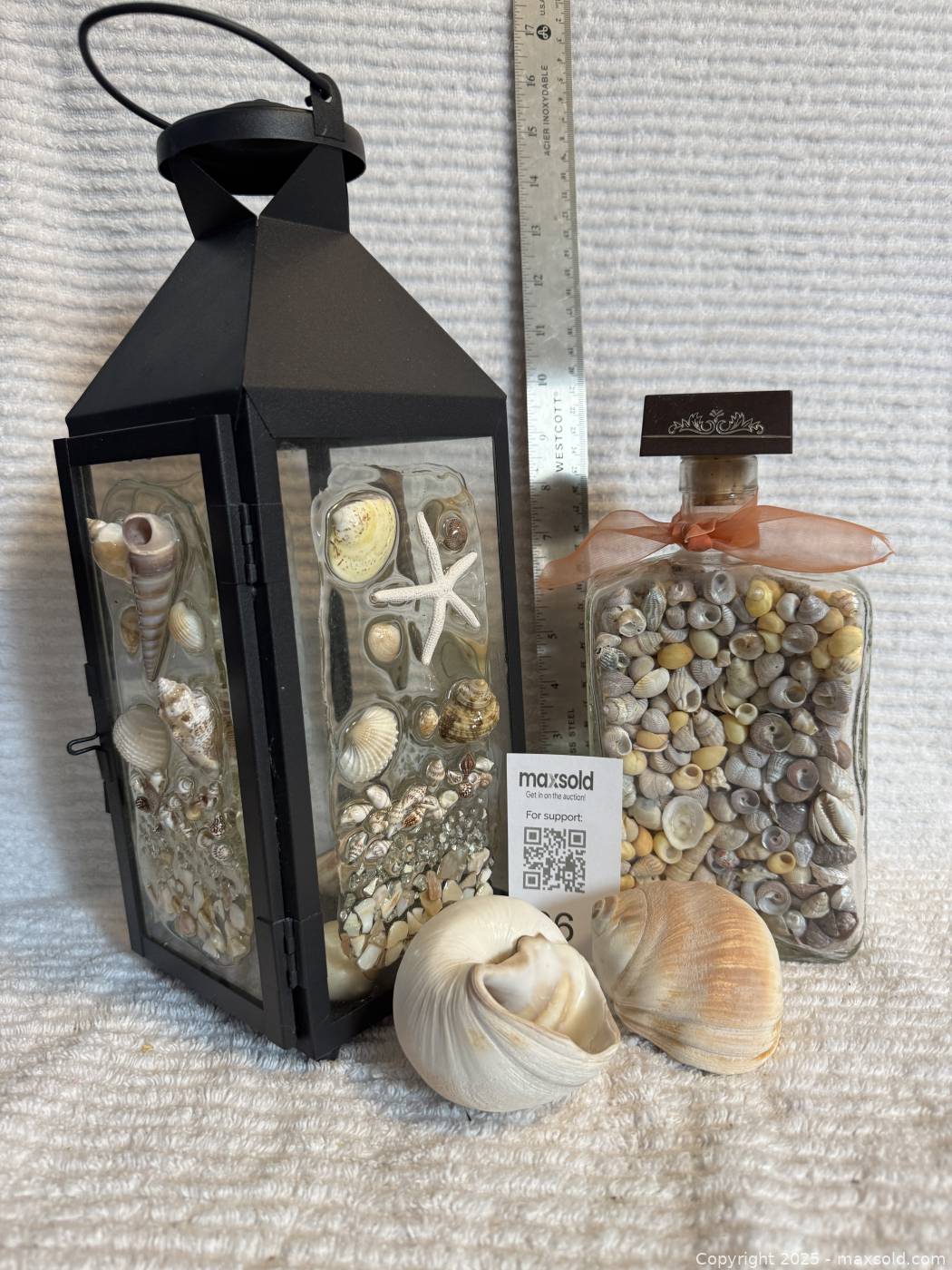 Sea shell epoxy lantern, bottle of shells, clam shells | Maxsold