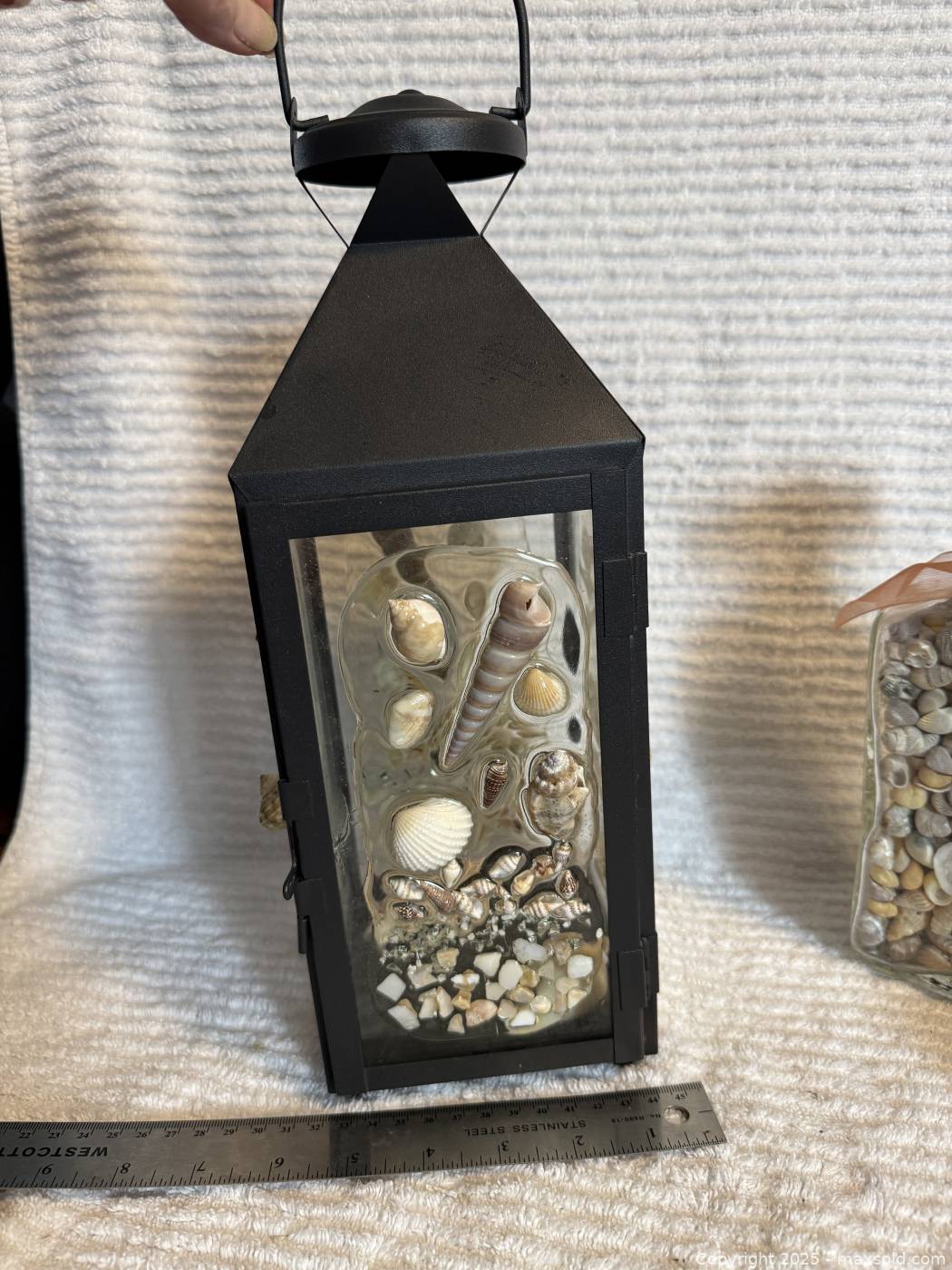 Sea shell epoxy lantern, bottle of shells, clam shells | Maxsold