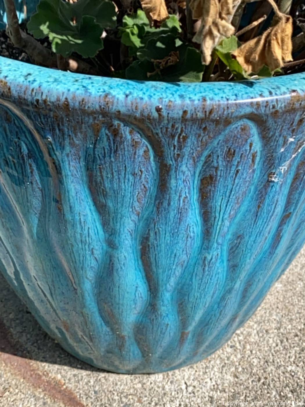 Two blue ceramic flower pots with plants | Maxsold