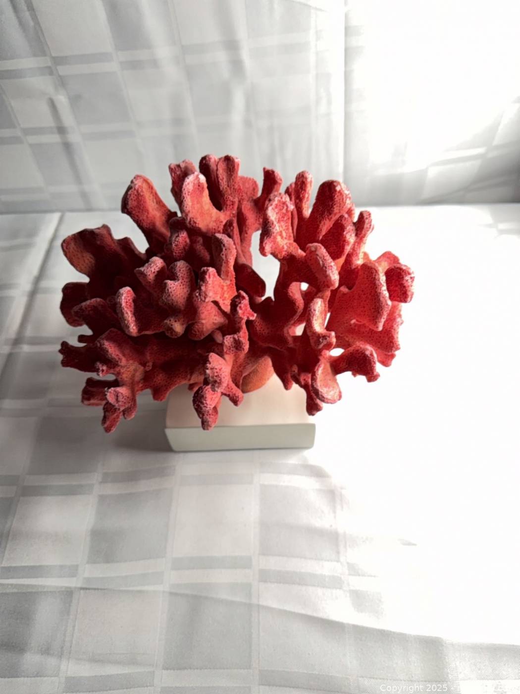 Pinkish-Red Decorative Coral Sculpture 8–10 in | Maxsold