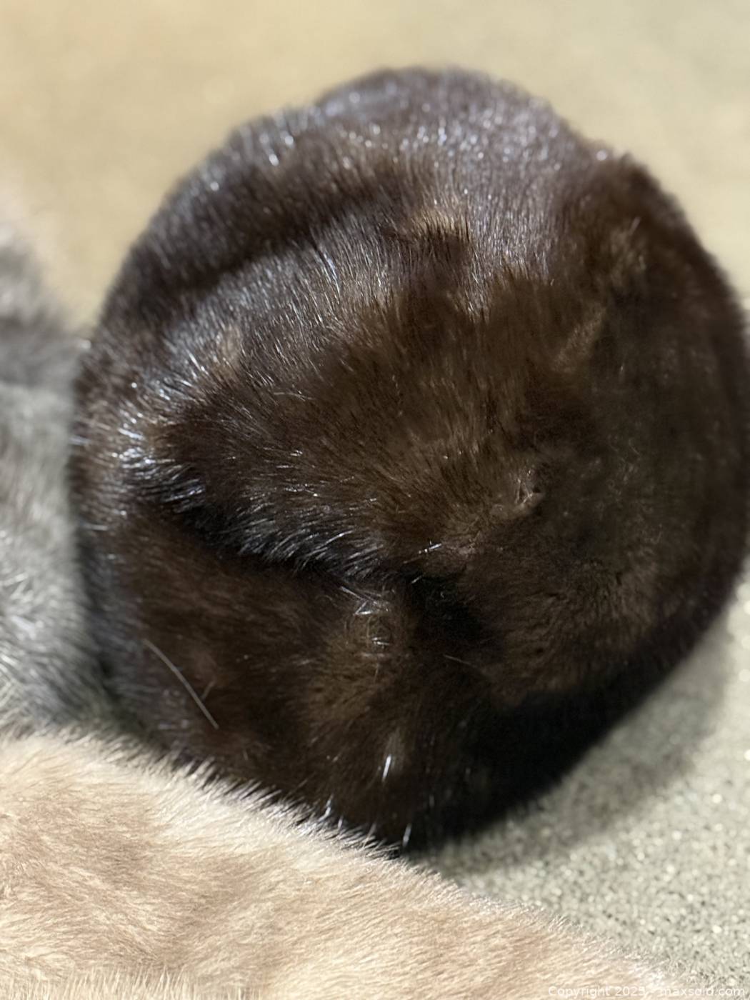 Vintage mink fur hats and cuffs | Maxsold