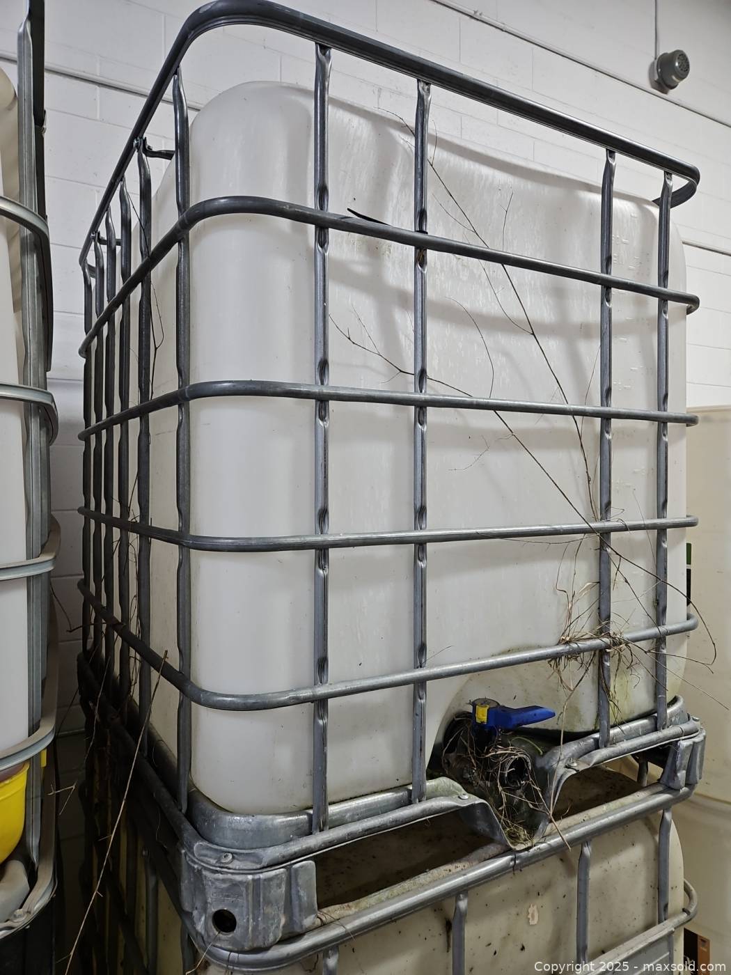 Plastic IBC tote container with steel cage | Maxsold