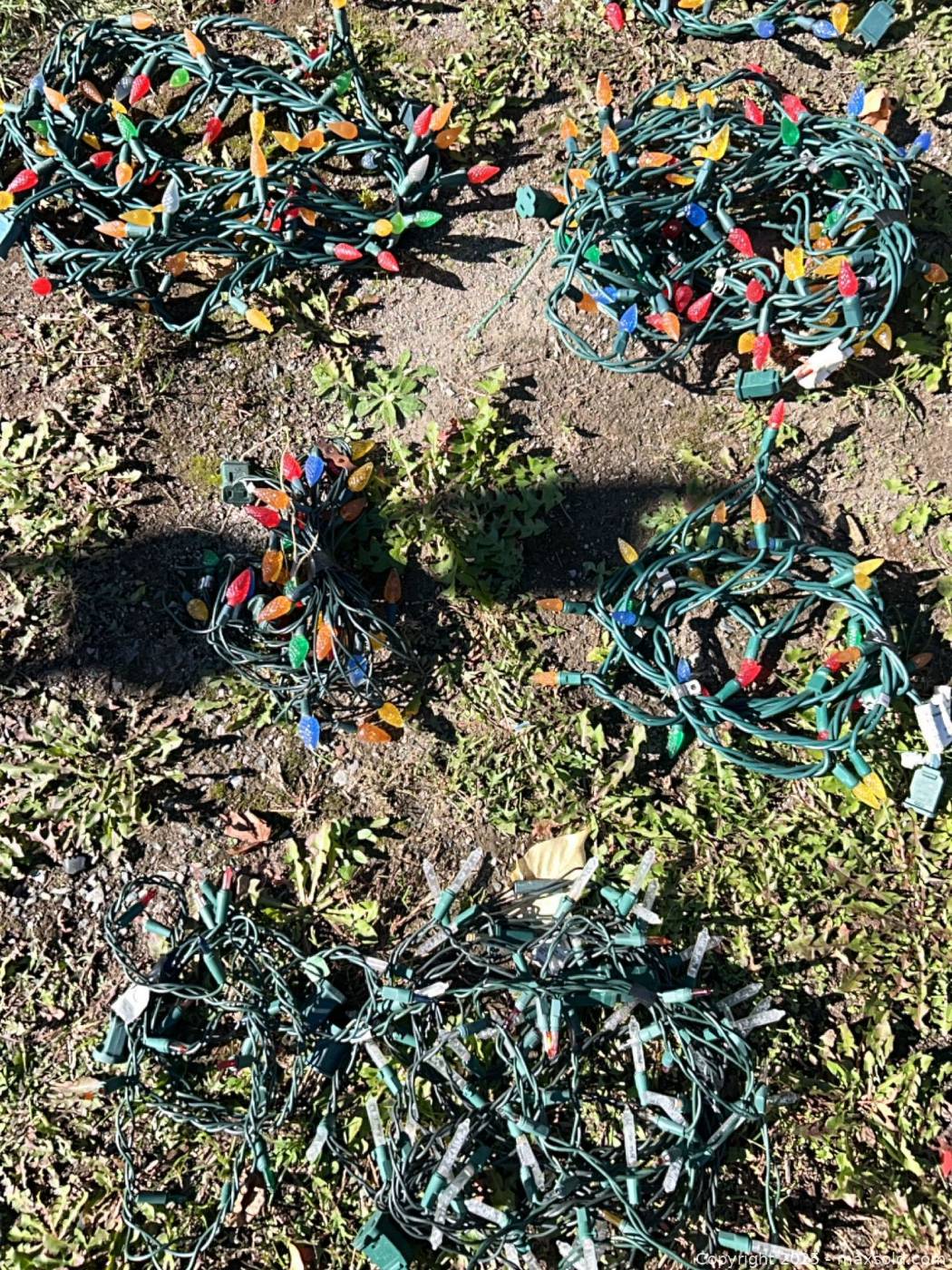 13 multicolor holiday string light strands | Maxsold