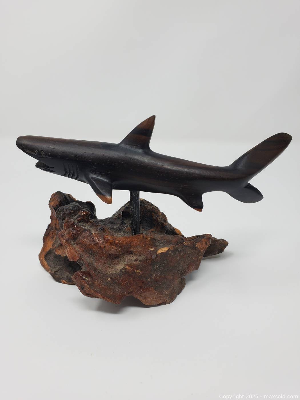 Hand Carved Wood Shark Sculpture on Burl | Maxsold