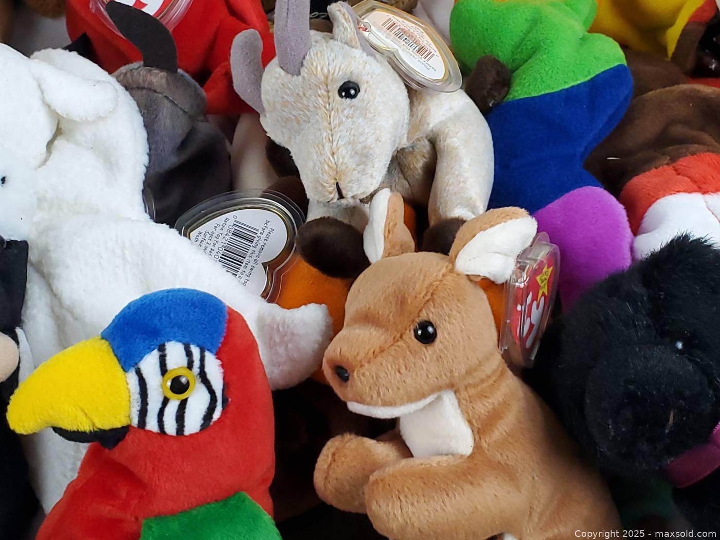 TY Beanie Babies plush animal collection | Maxsold