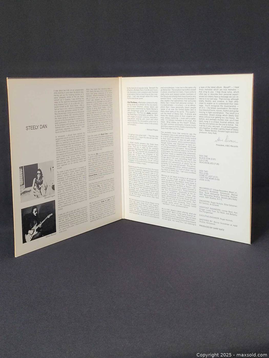 Steely Dan Aja vinyl record LP gatefold | Maxsold