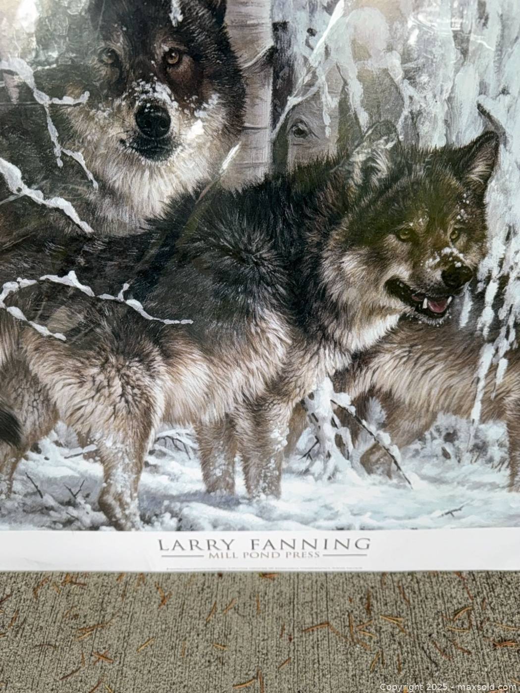 Set of 3 wolf offset lithograph prints | Maxsold