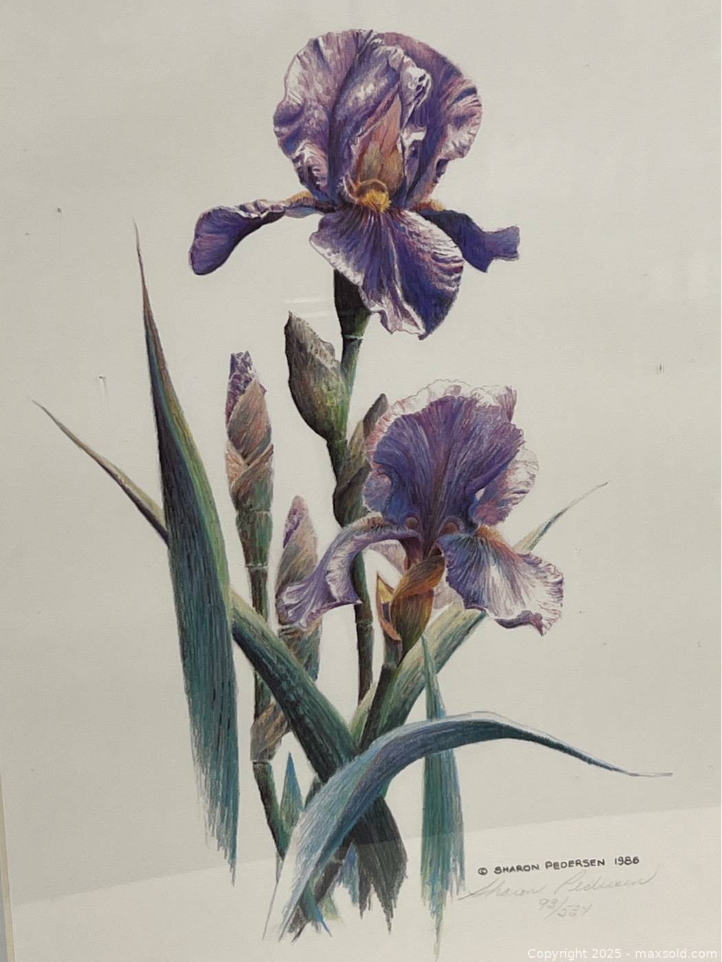 Sharon Pedersen iris limited edition print | Maxsold