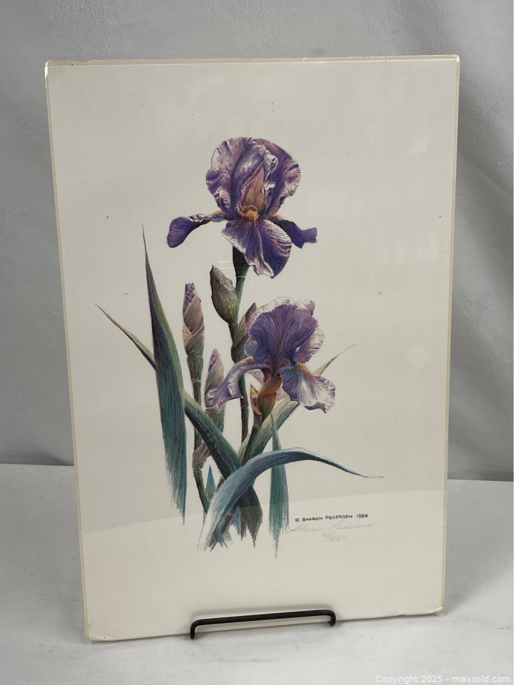 Sharon Pedersen iris limited edition print | Maxsold