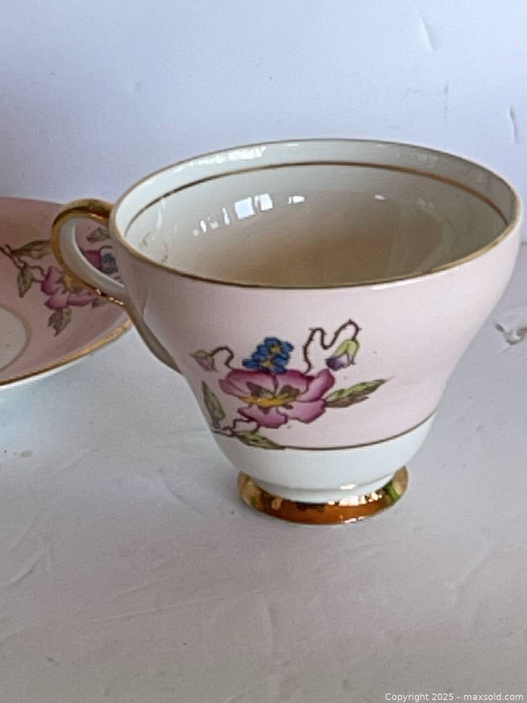 Taylor & Kent Bone China Teacup & Saucer | Maxsold
