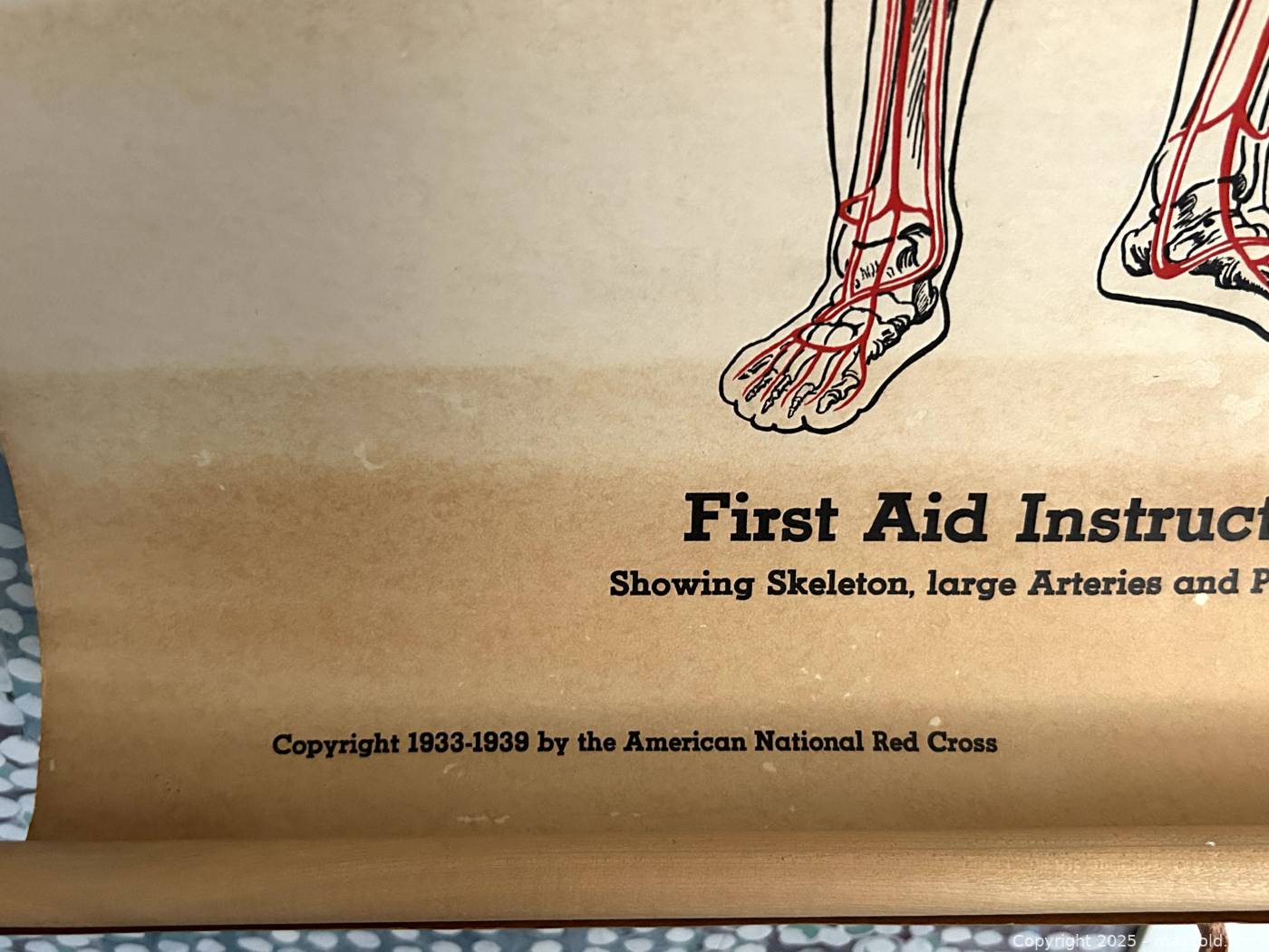 1933–1939 American National Red Cross First Aid Instruction Chart | Maxsold